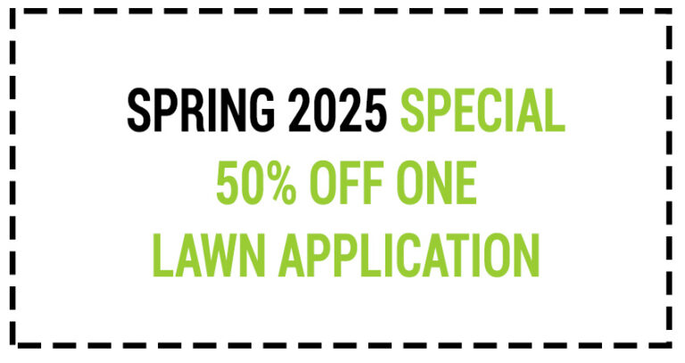 Lawn Info Luxe Lawn Care